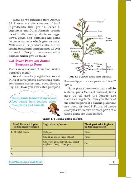 Science NCERT Class-6th English Medium (Original Book) - Notes