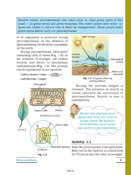 Science NCERT Class-7th English Medium (Original Book) - Notes
